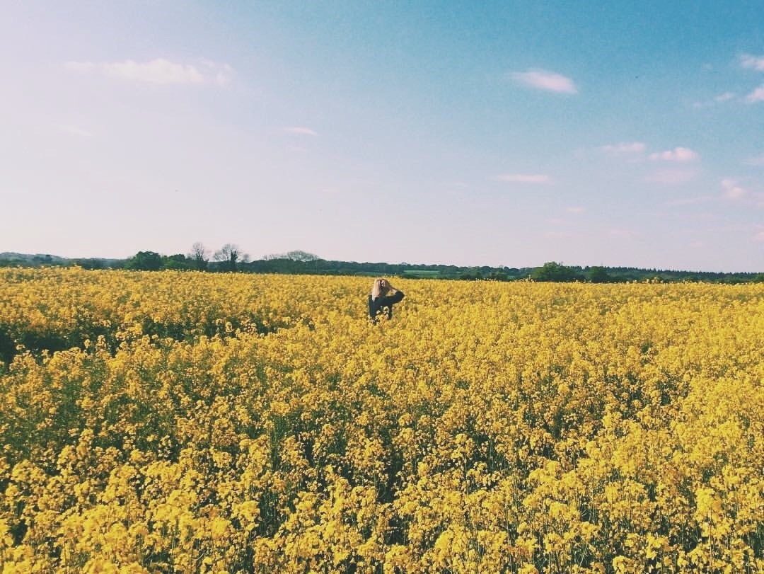 10 Ways to Love Yourself | Megan Barrett – Wild Hearts