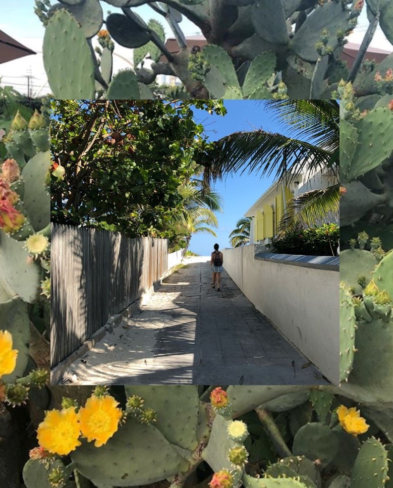 Wild & Holy w/ Shannon Majure – Wild Hearts